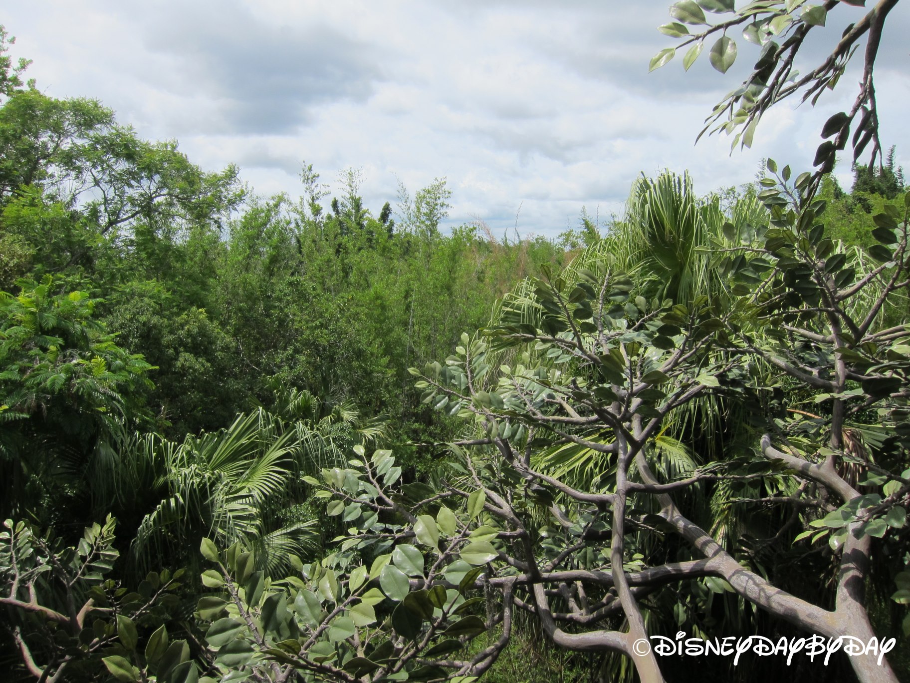 Magic Kingdom: Swiss Family Treehouse | DisneyDayByDay