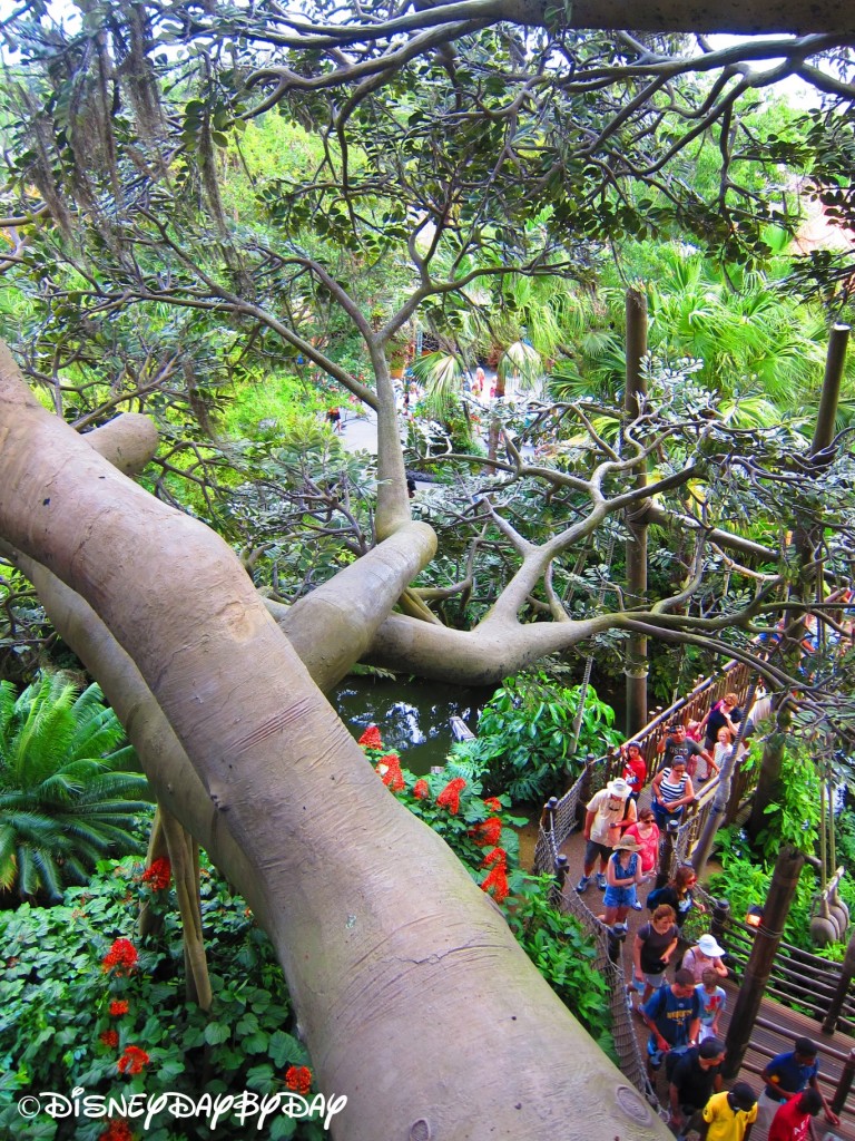 Magic Kingdom: Swiss Family Treehouse | DisneyDayByDay