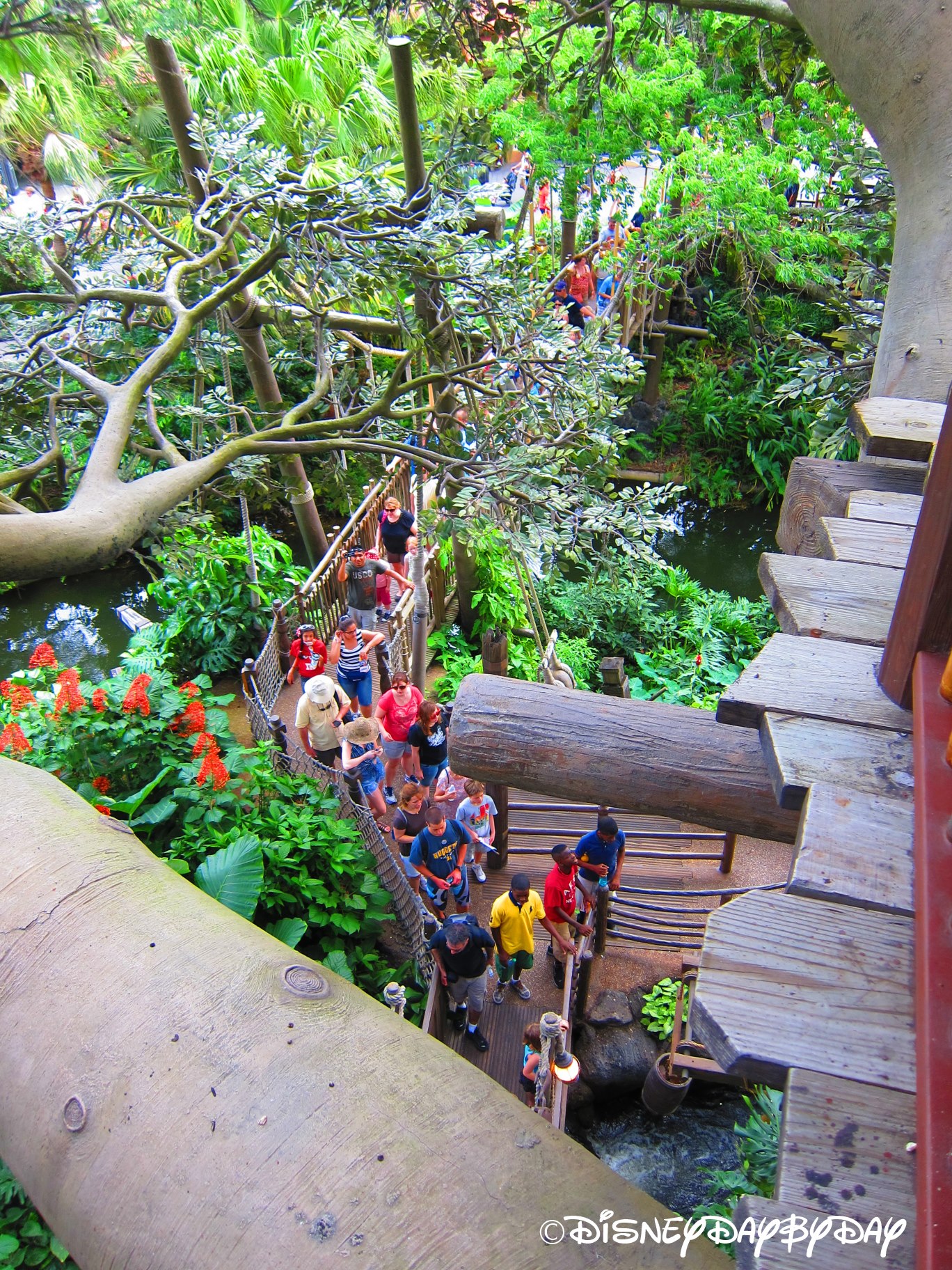 Magic Kingdom: Swiss Family Treehouse | DisneyDayByDay