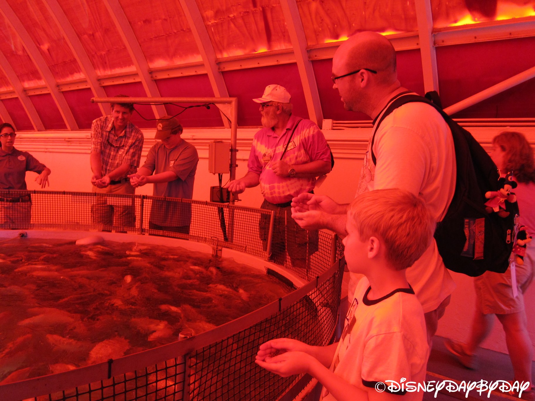 Disney Epcot – Behind the Seeds Tour 16 | DisneyDayByDay