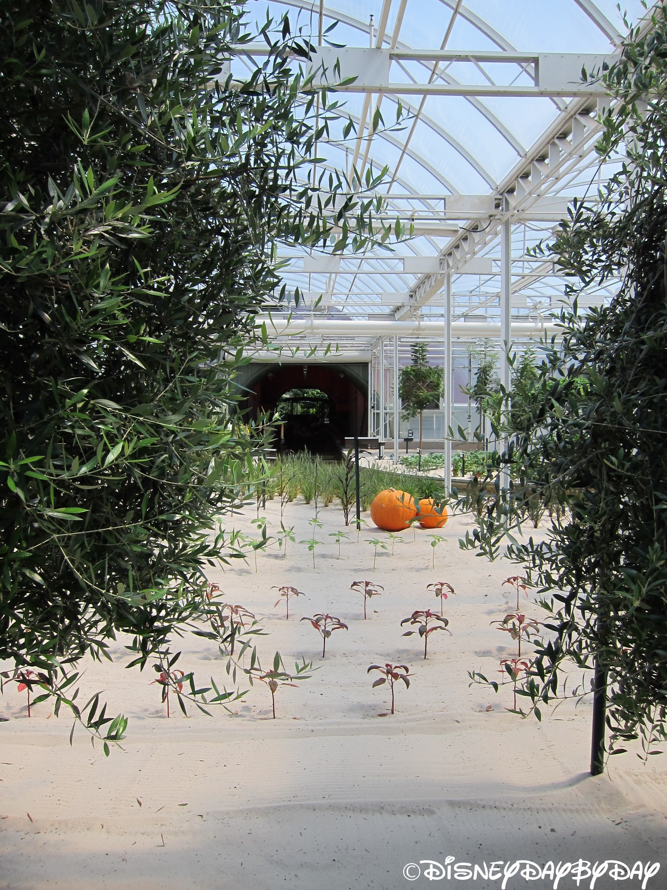 Epcot Behind the Seeds Tour | DisneyDayByDay