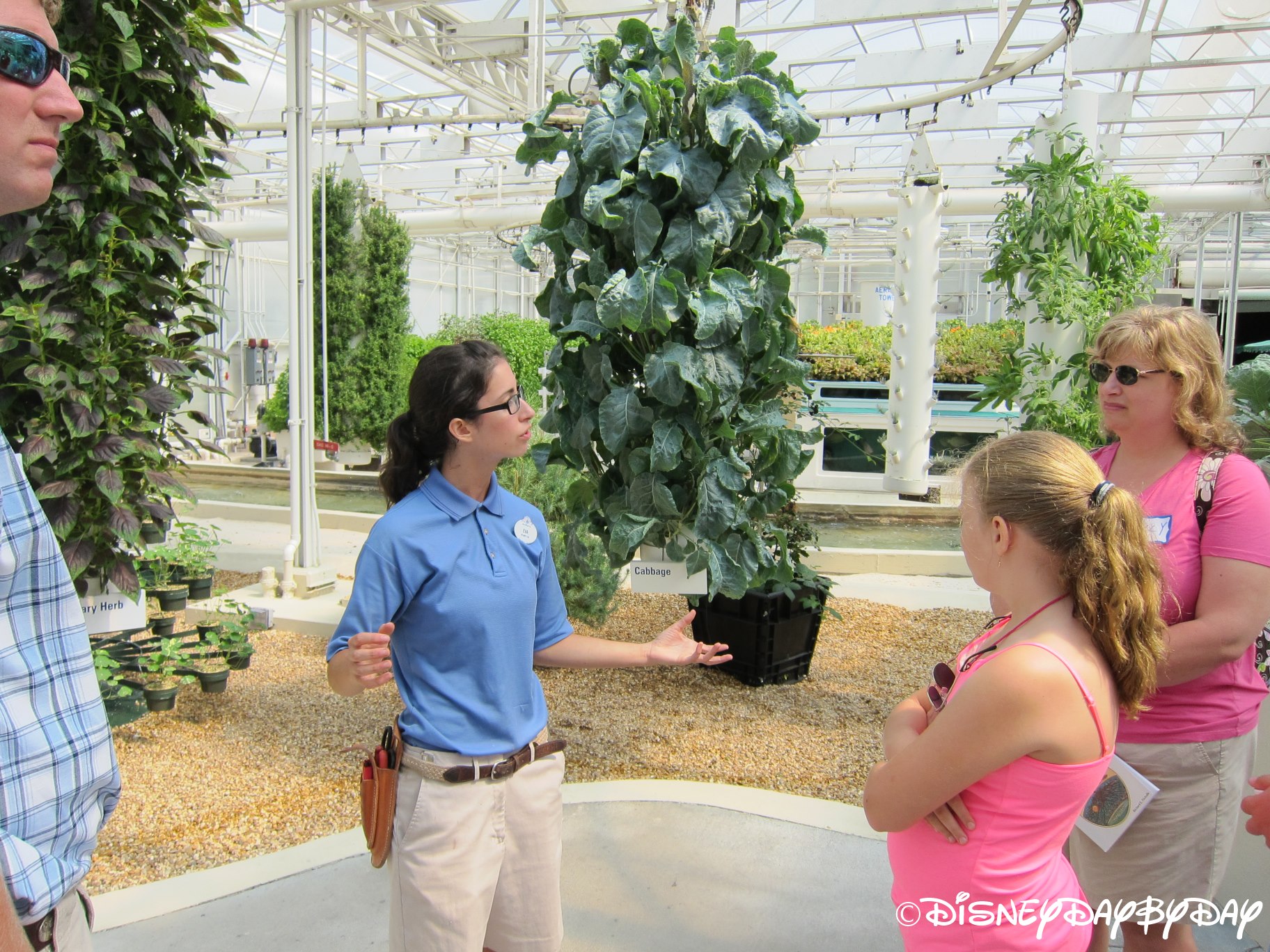 Epcot Behind the Seeds Tour | DisneyDayByDay
