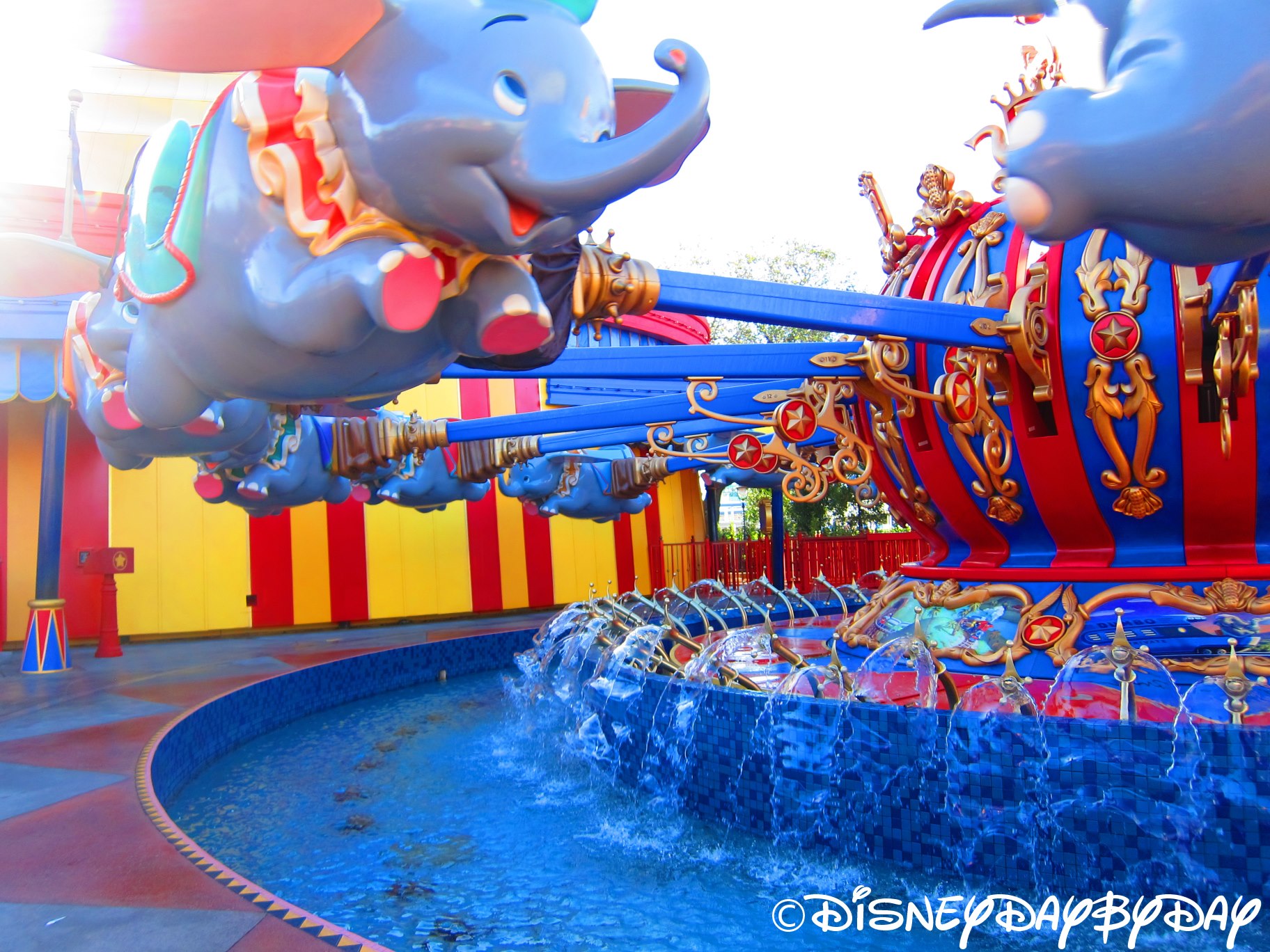 Magic Kingdom: Dumbo the Flying Elephant | DisneyDayByDay