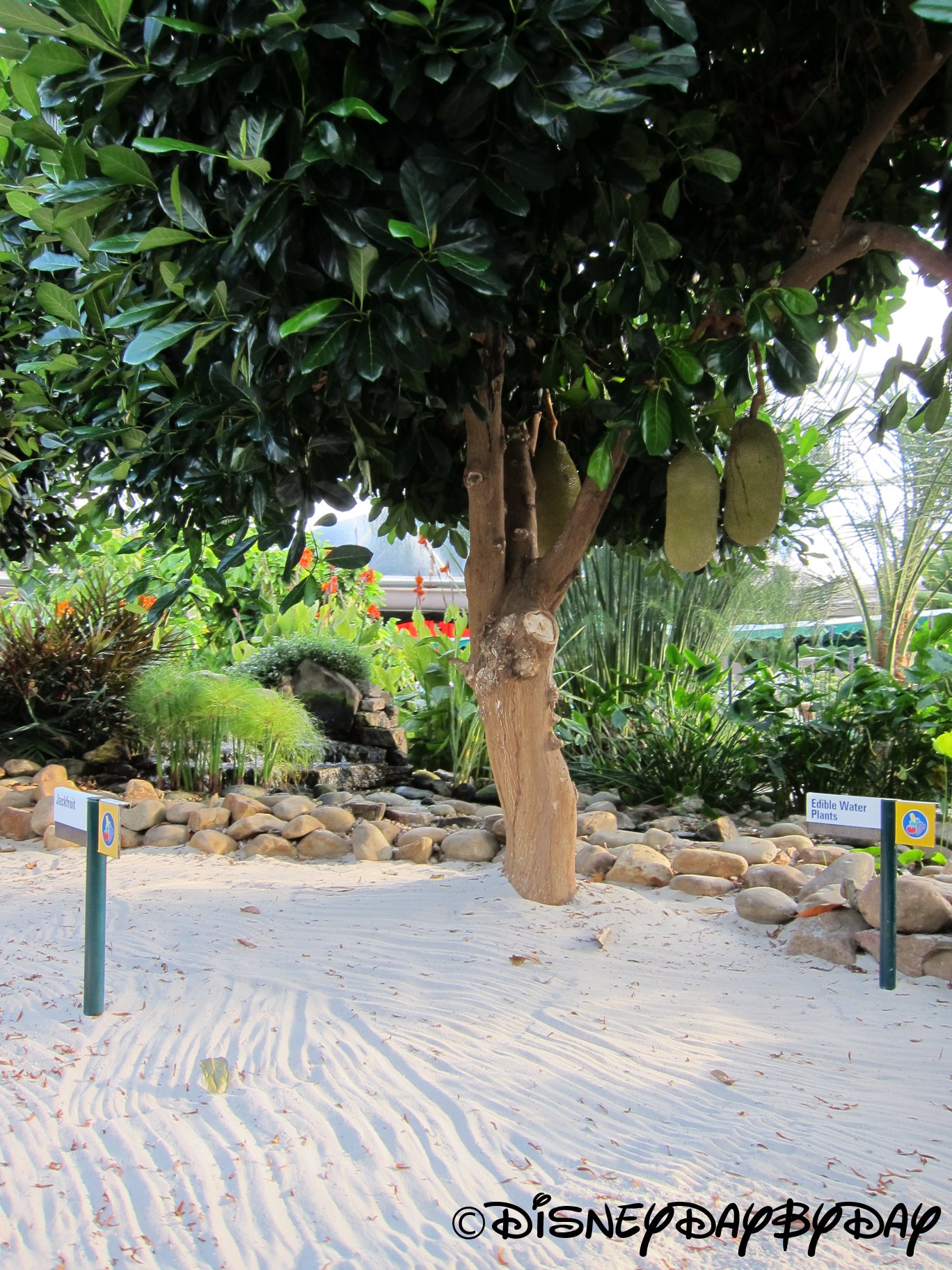 Epcot: Living with the Land | DisneyDayByDay