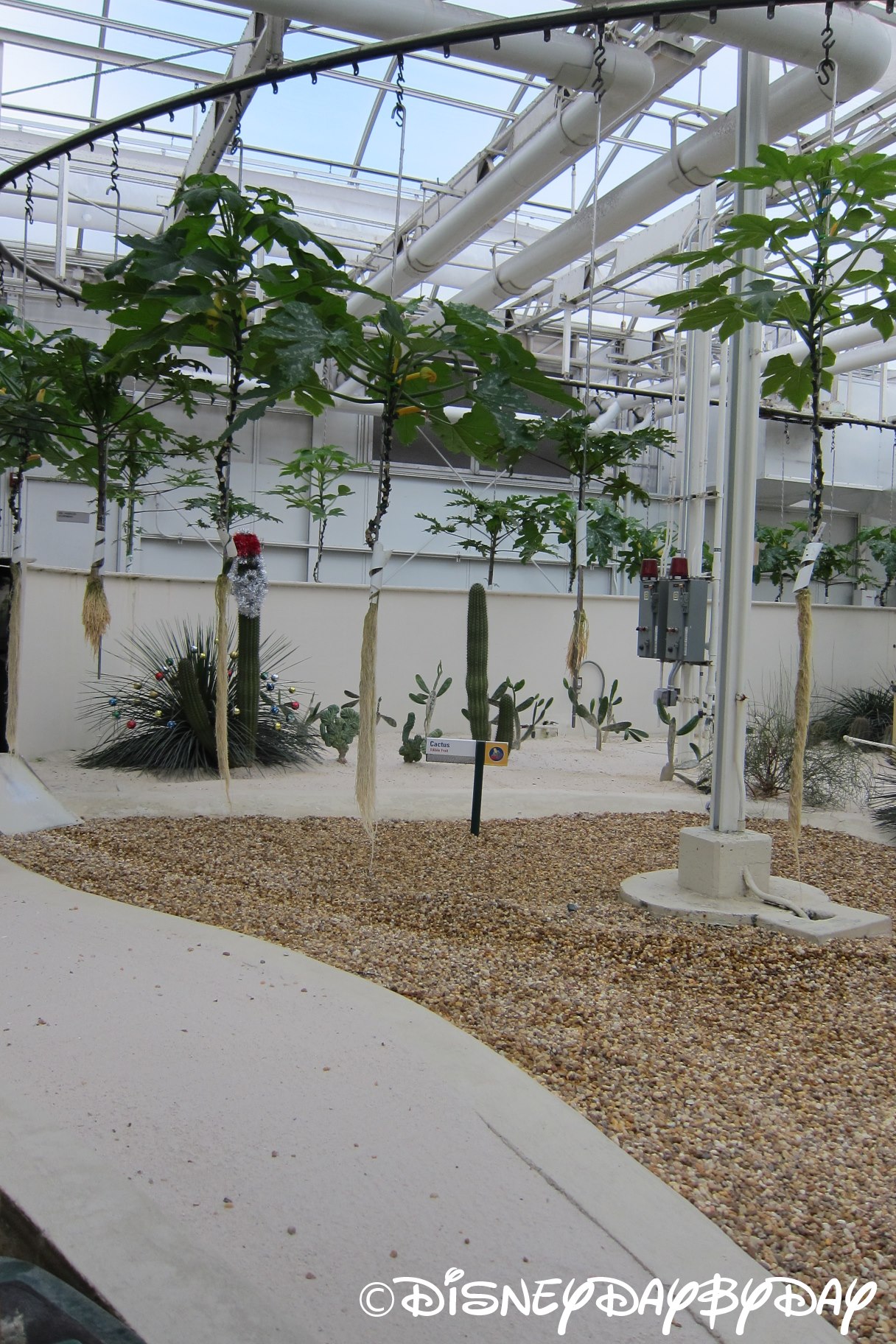 Epcot: Living with the Land | DisneyDayByDay
