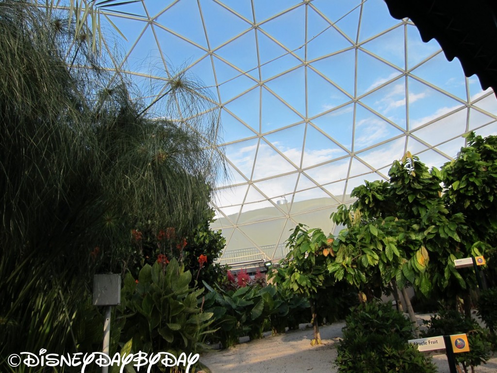 Epcot: Living with the Land | DisneyDayByDay