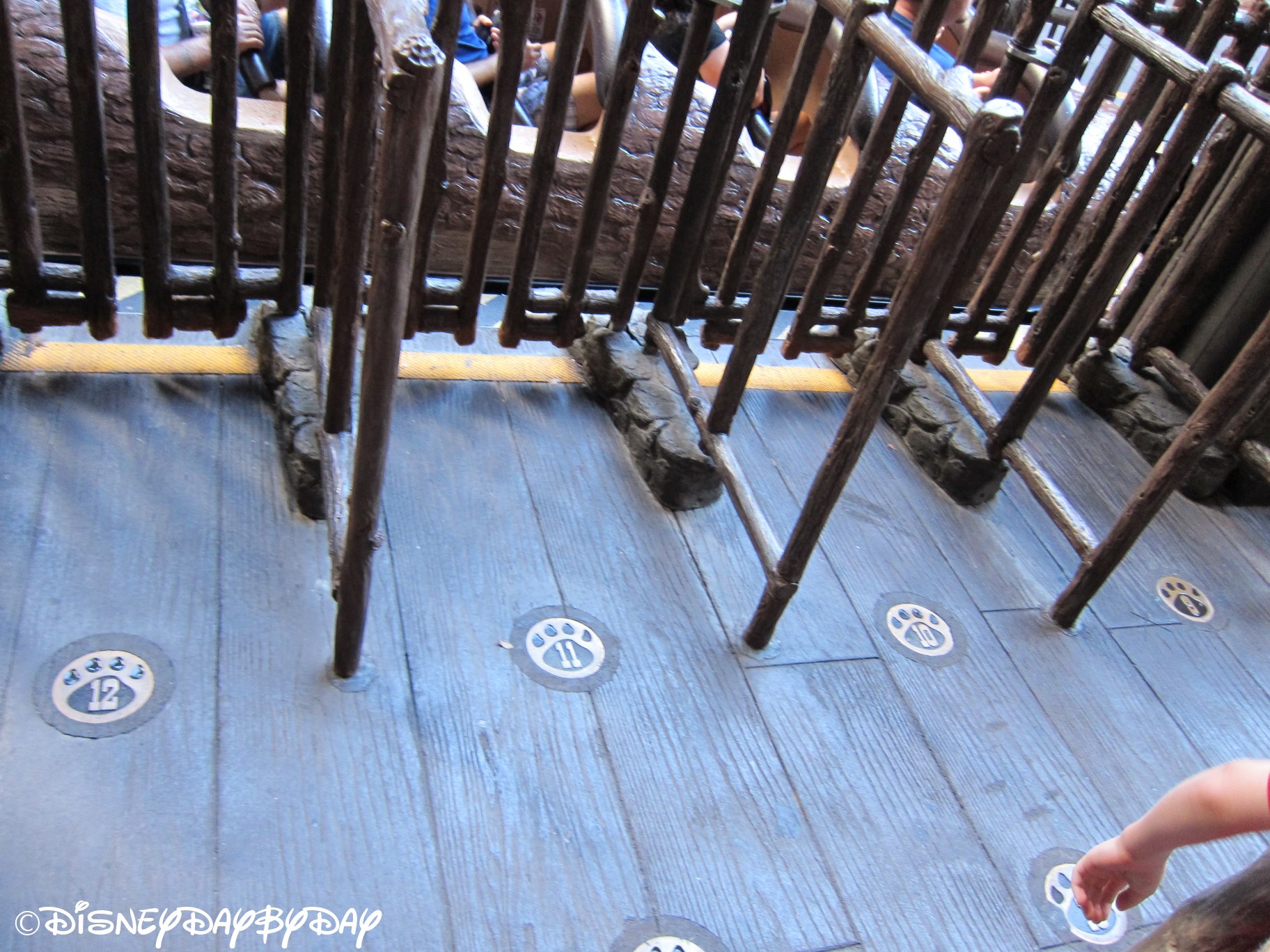 Magic Kingdom: Splash Mountain | DisneyDayByDay