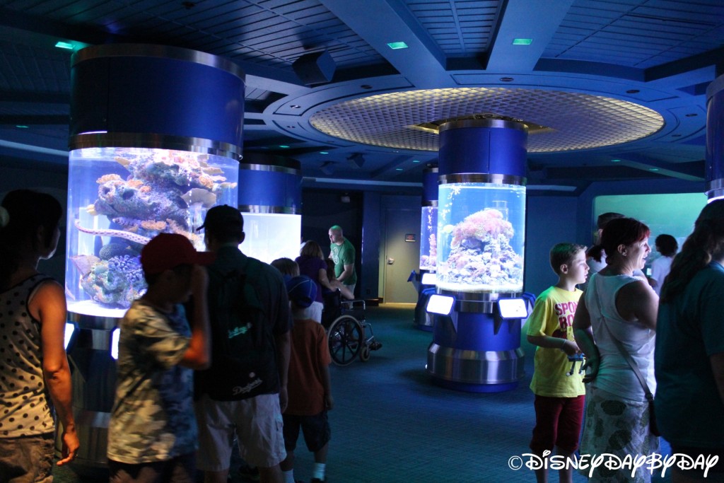 Epcot: The Seas With Nemo & Friends | DisneyDayByDay