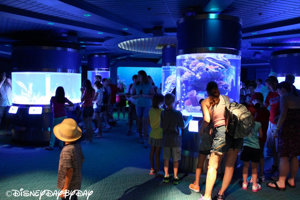 Epcot: The Seas With Nemo & Friends | DisneyDayByDay