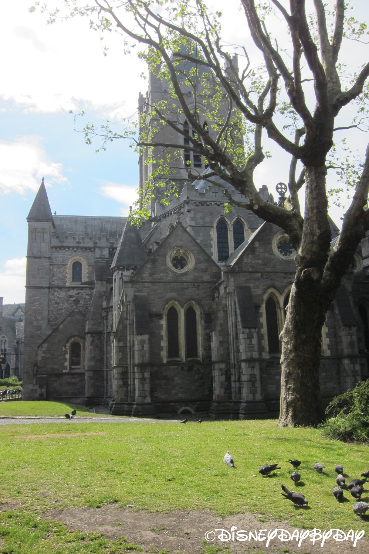 Adventures By Disney: Ireland (Day 1 and 2) | DisneyDayByDay