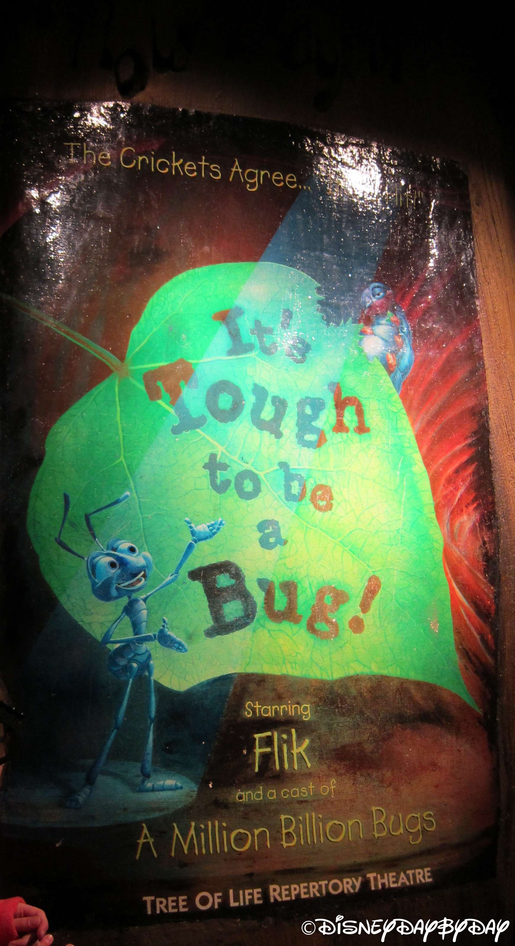 Animal Kingdom: It’s Tough to be a Bug | DisneyDayByDay