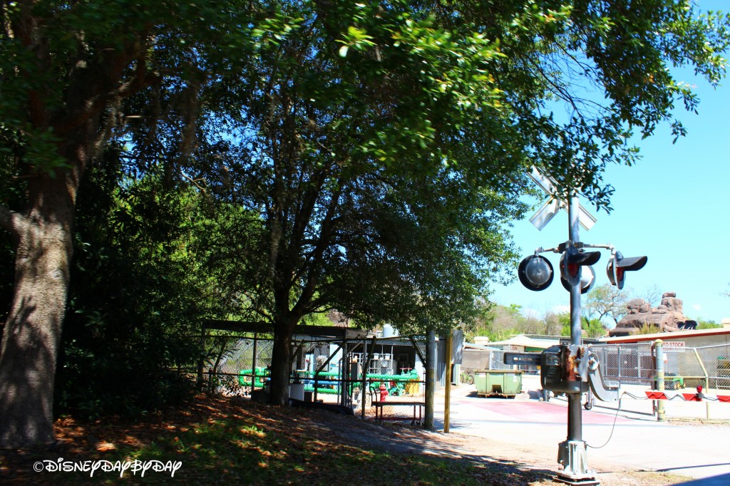 Animal Kingdom: Wildlife Express Train | DisneyDayByDay