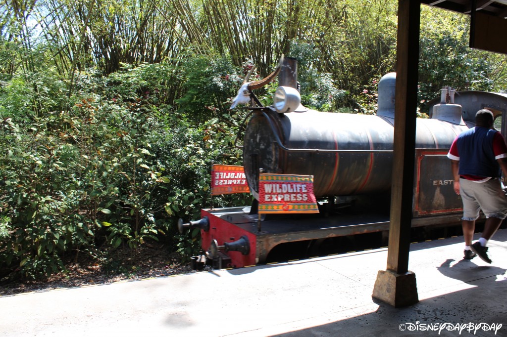 Animal Kingdom: Wildlife Express Train | DisneyDayByDay