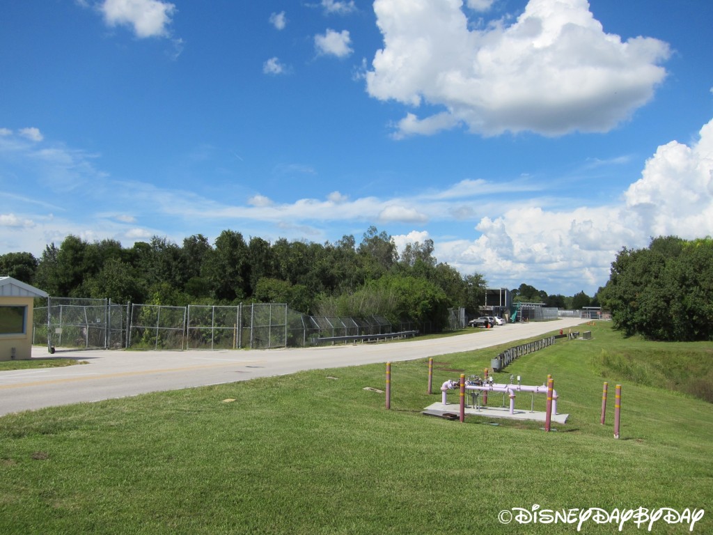 Animal Kingdom: Wildlife Express Train | DisneyDayByDay