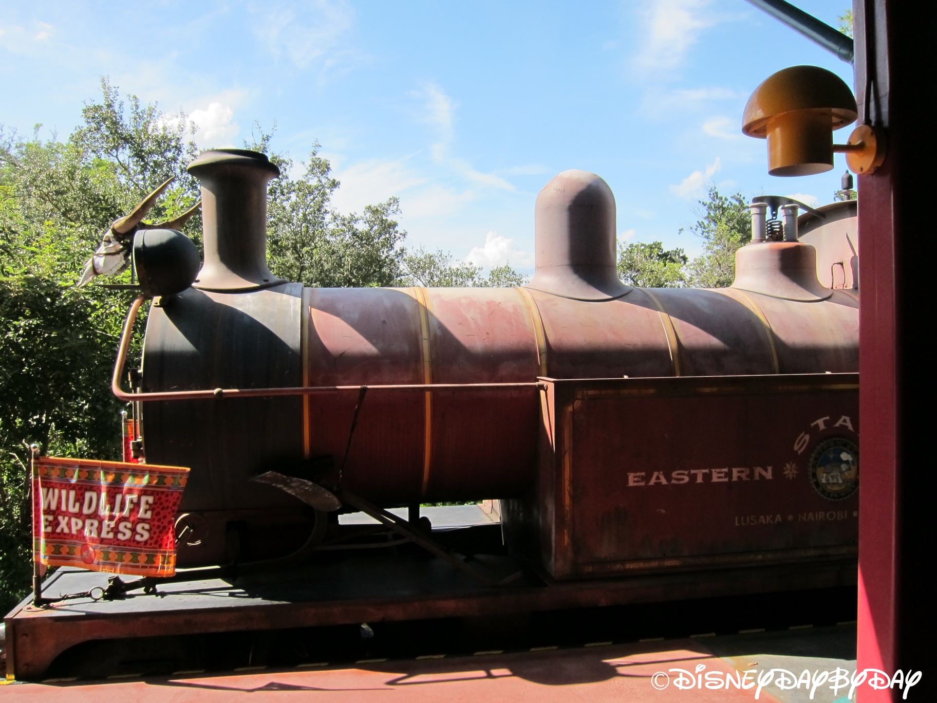 Animal Kingdom: Wildlife Express Train | DisneyDayByDay