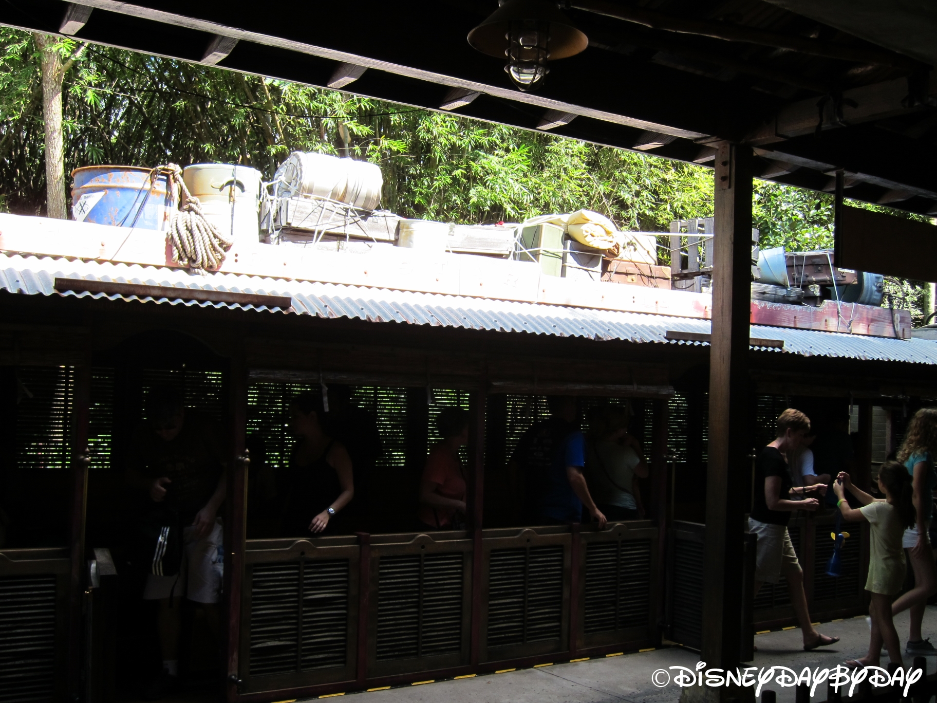 Animal Kingdom: Wildlife Express Train | DisneyDayByDay