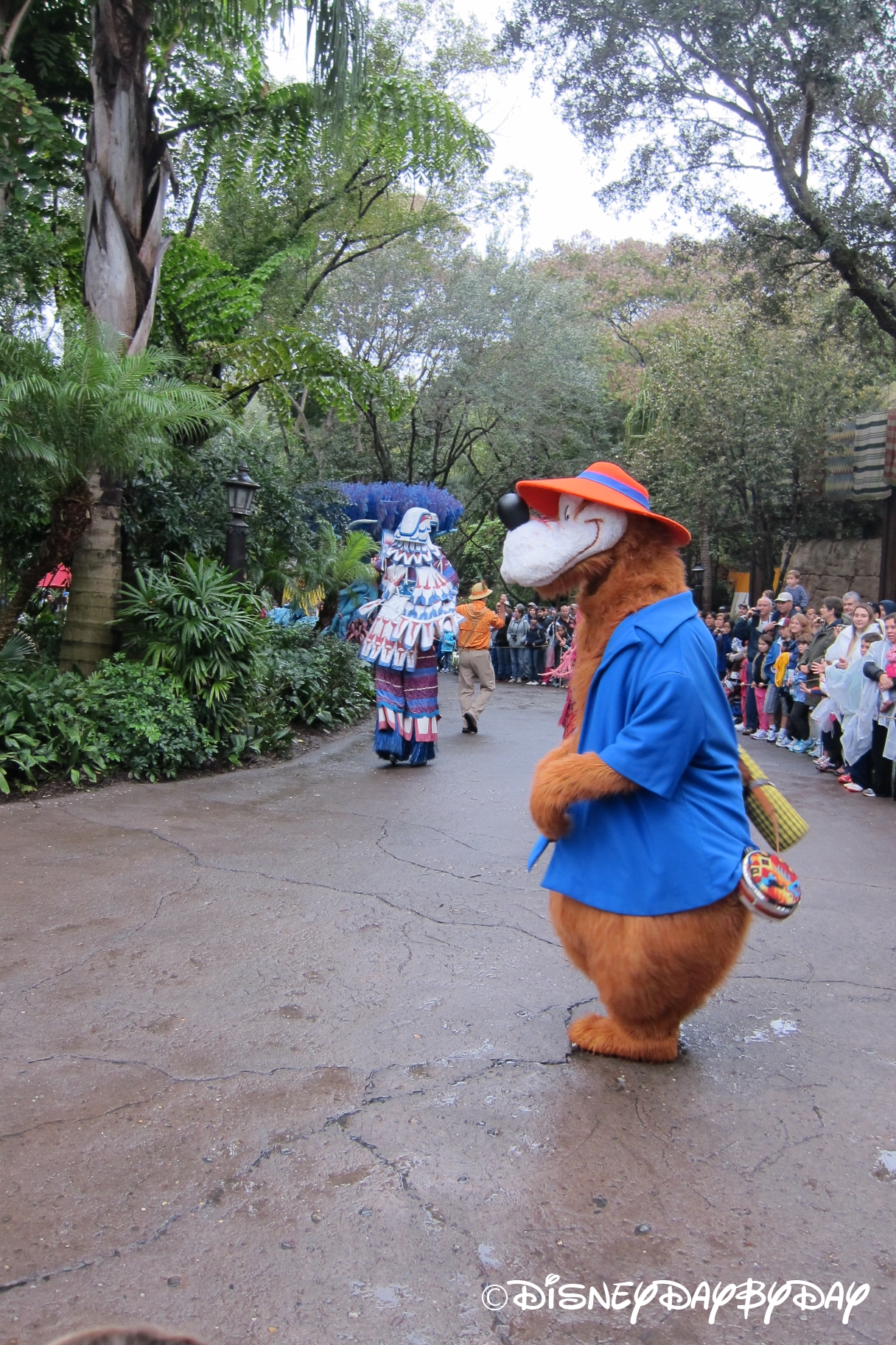 Animal Kingdom: Mickey’s Jammin’ Jungle Parade | DisneyDayByDay
