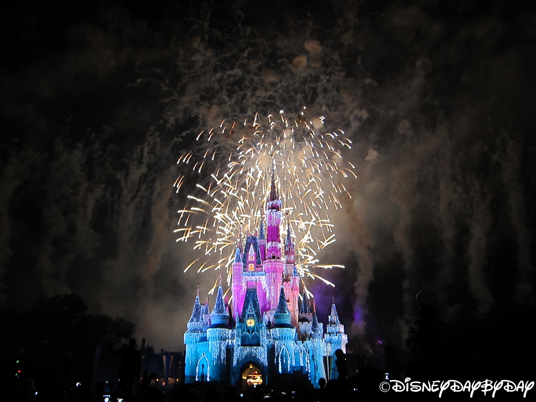 Magic Kingdom: Celebrate the Magic and Wishes | DisneyDayByDay