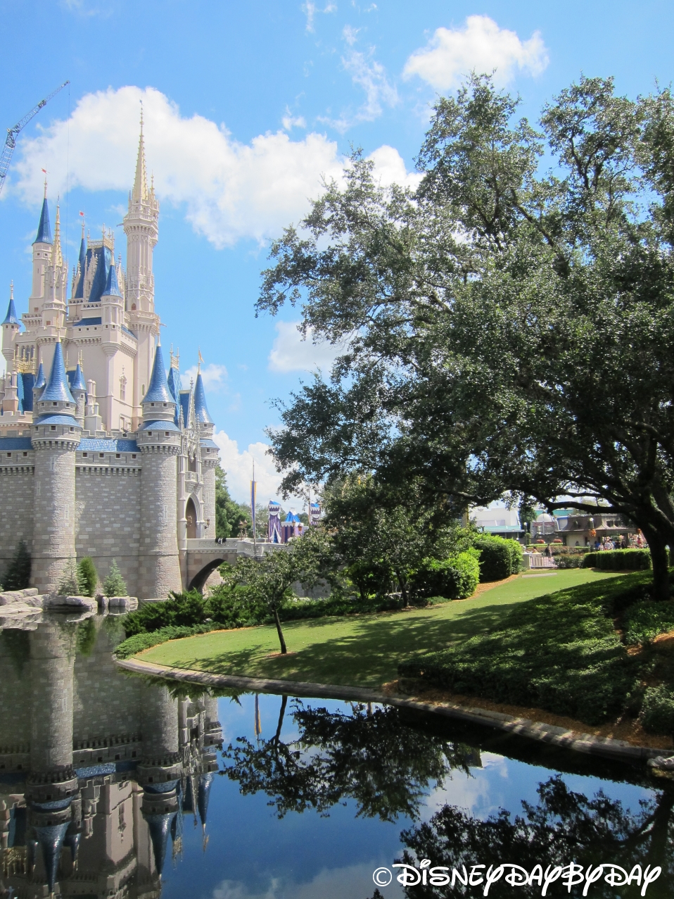 Castle Reflection | DisneyDayByDay