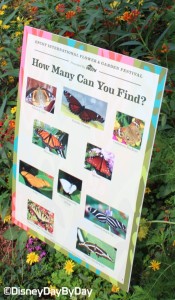 Tiggerific Tuesday Trivia : Tinker Bell’s Butterfly House | DisneyDayByDay