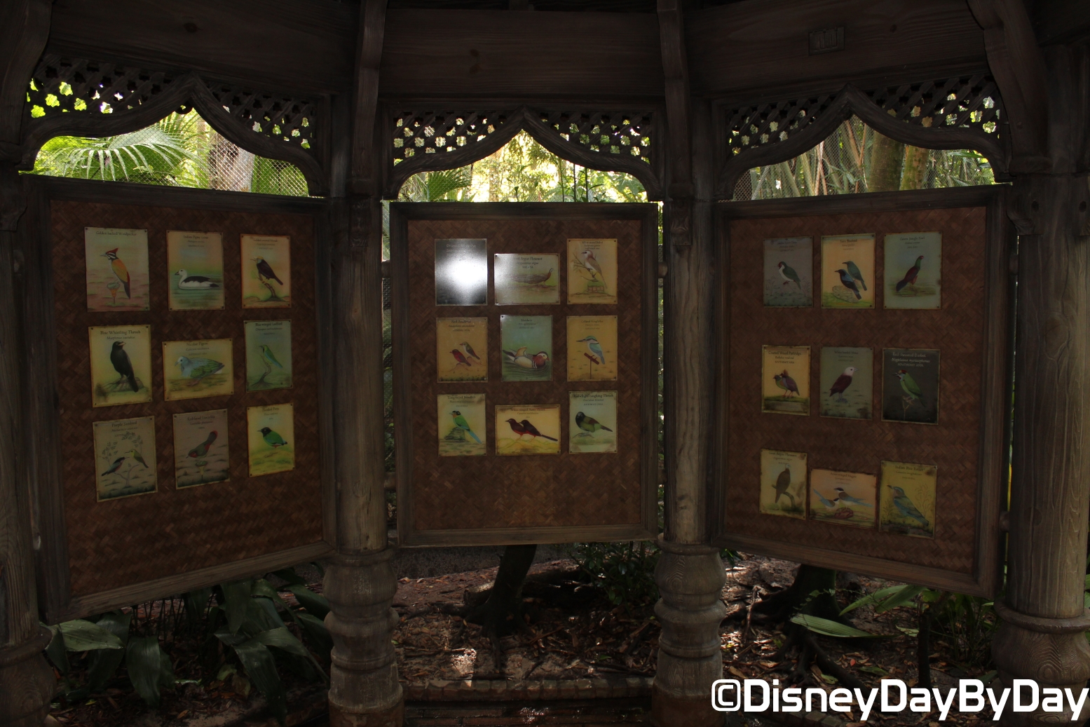 Animal Kingdom – Maharajah Jungle Trek | DisneyDayByDay