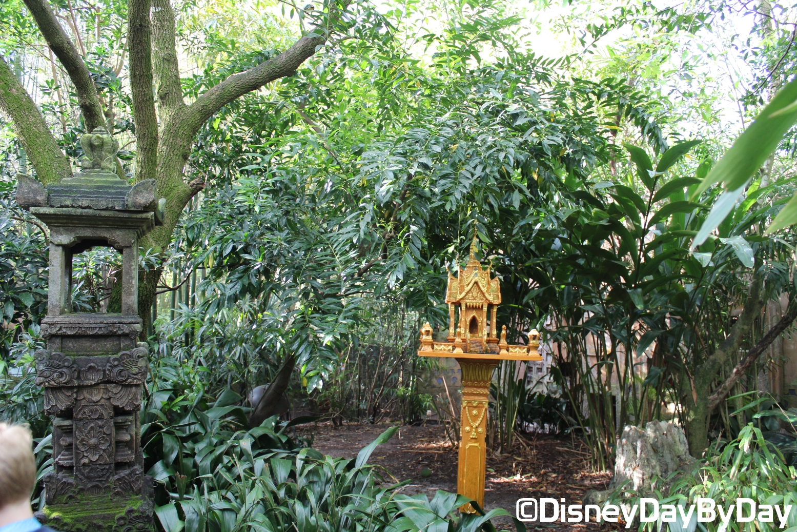 Animal Kingdom – Maharajah Jungle Trek | DisneyDayByDay