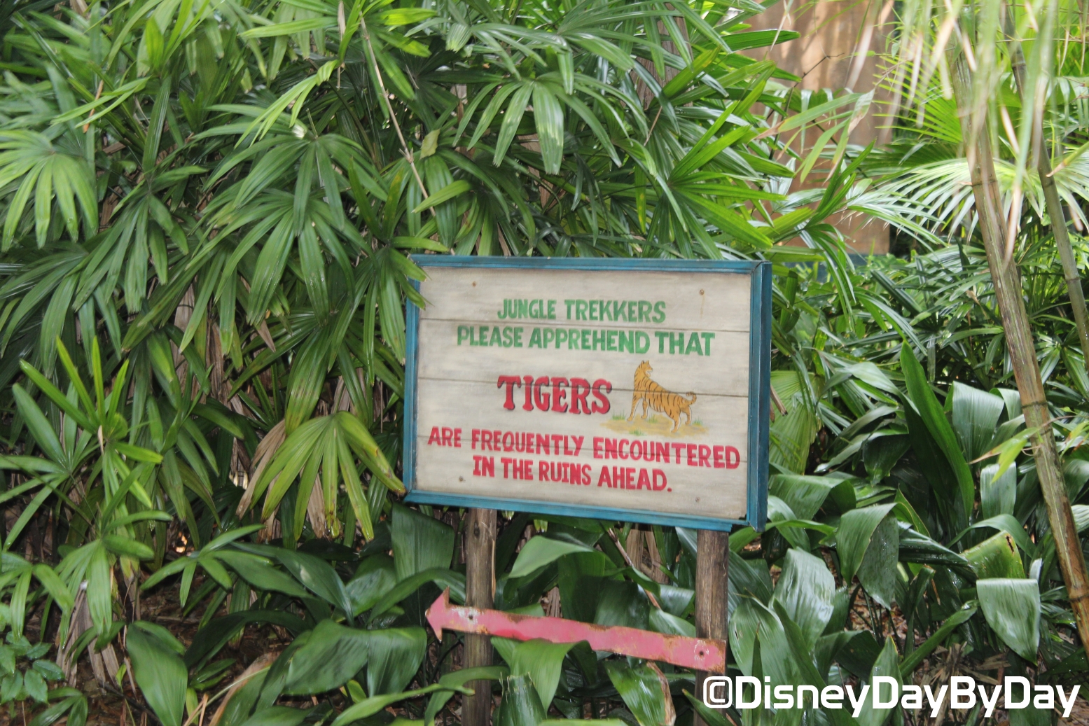Animal Kingdom – Maharajah Jungle Trek | DisneyDayByDay