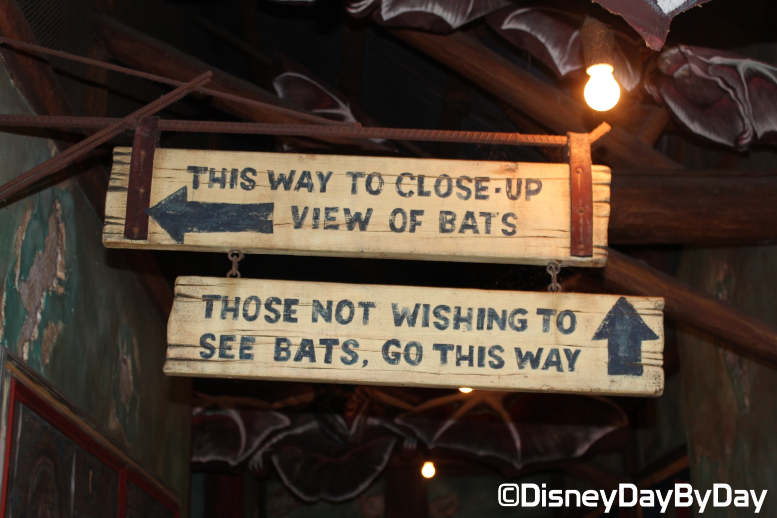 Animal Kingdom – Maharajah Jungle Trek | DisneyDayByDay