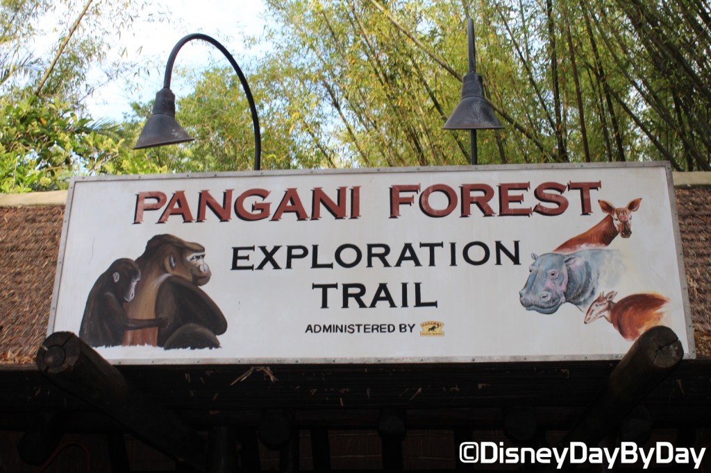Animal Kingdom – Pangani Forest Exploration Trail | DisneyDayByDay