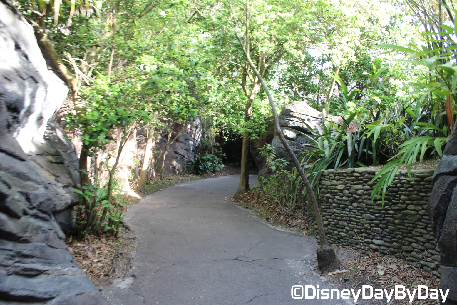 Animal Kingdom – Pangani Forest Exploration Trail | DisneyDayByDay