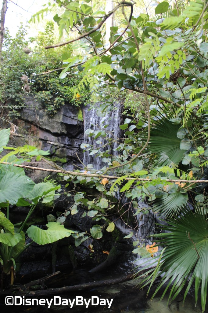 Animal Kingdom – Pangani Forest Exploration Trail | DisneyDayByDay