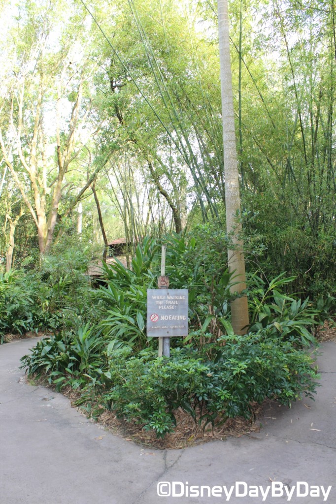 Animal Kingdom – Pangani Forest Exploration Trail | DisneyDayByDay