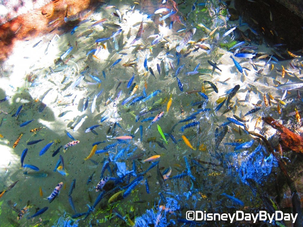 Animal Kingdom – Pangani Forest Exploration Trail | DisneyDayByDay
