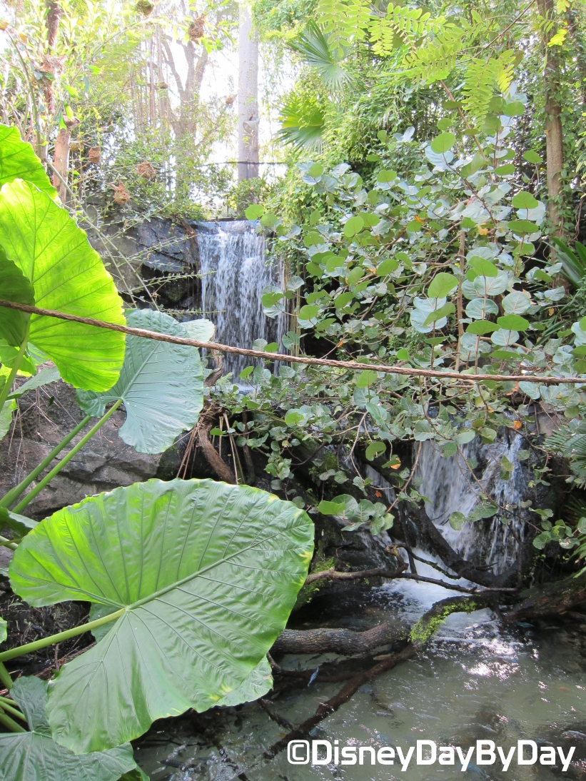 Animal Kingdom – Pangani Forest Exploration Trail | DisneyDayByDay