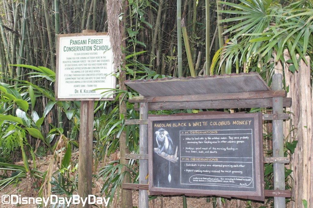 Animal Kingdom – Pangani Forest Exploration Trail | DisneyDayByDay