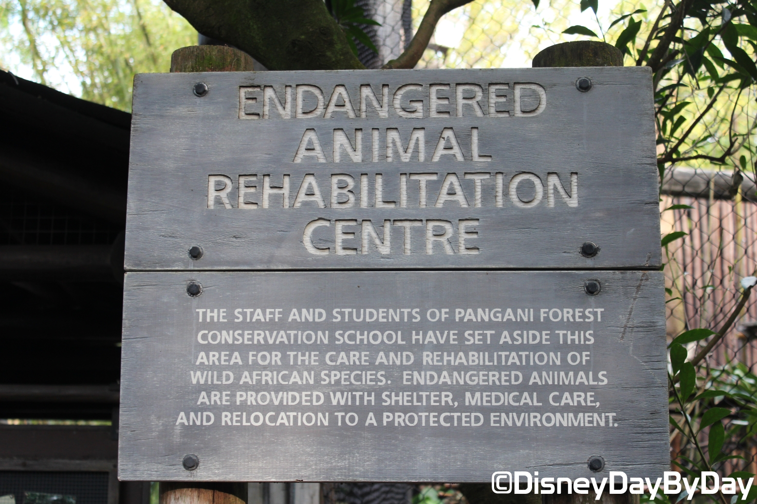 Animal Kingdom – Pangani Forest Exploration Trail | DisneyDayByDay