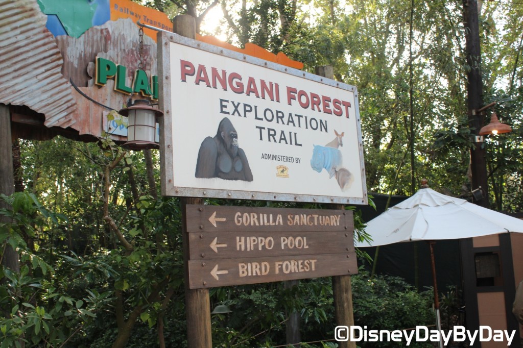 Animal Kingdom – Pangani Forest Exploration Trail | DisneyDayByDay