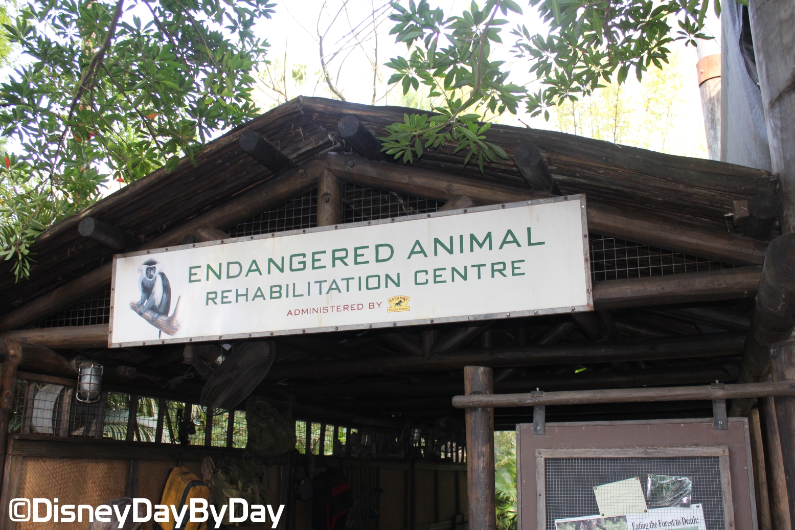 Animal Kingdom – Pangani Forest Exploration Trail | DisneyDayByDay