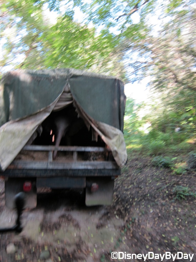 Fastpass to History: Little Red Has Been Captured | DisneyDayByDay