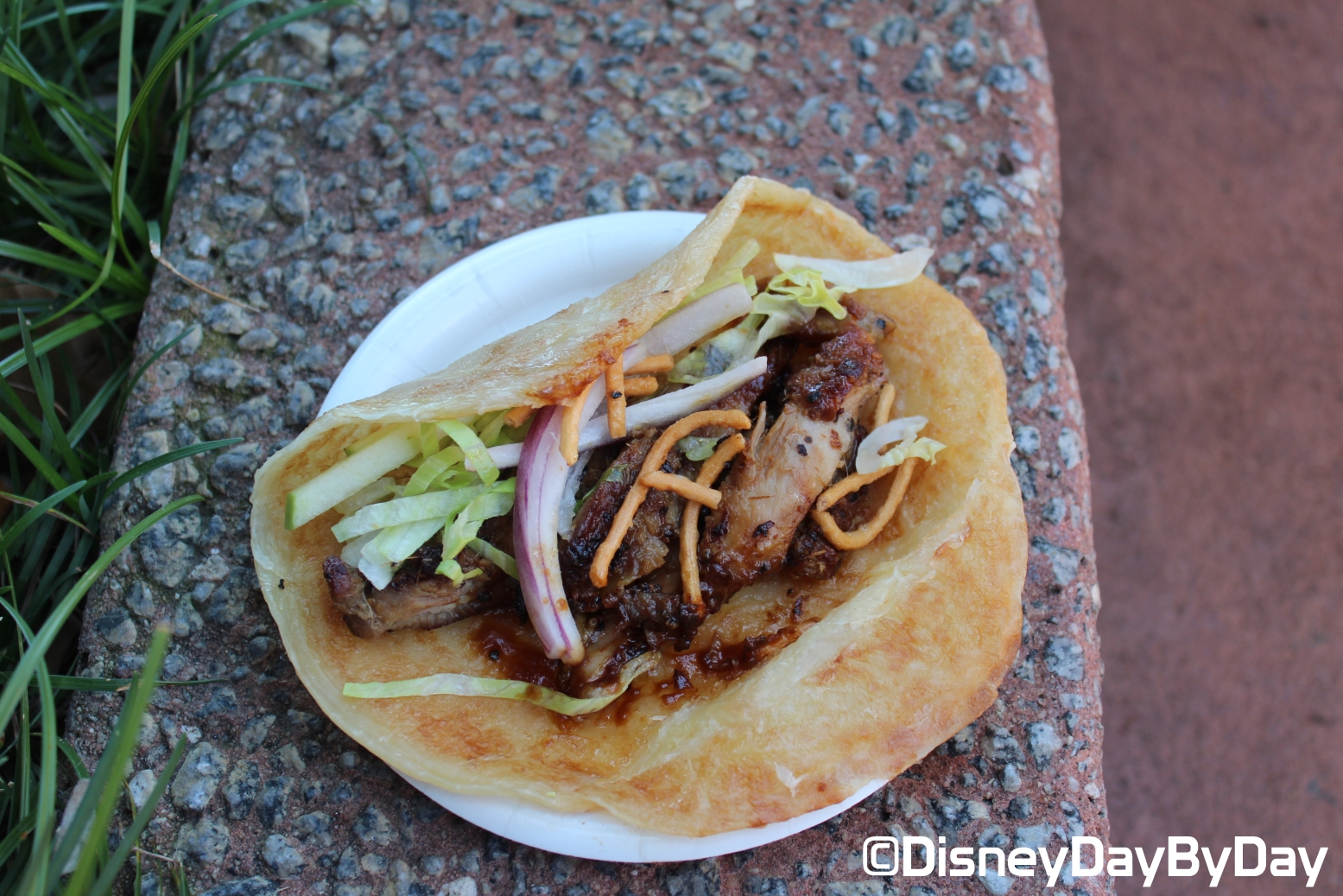 Favorite Food Friday: Spring Pancake | DisneyDayByDay