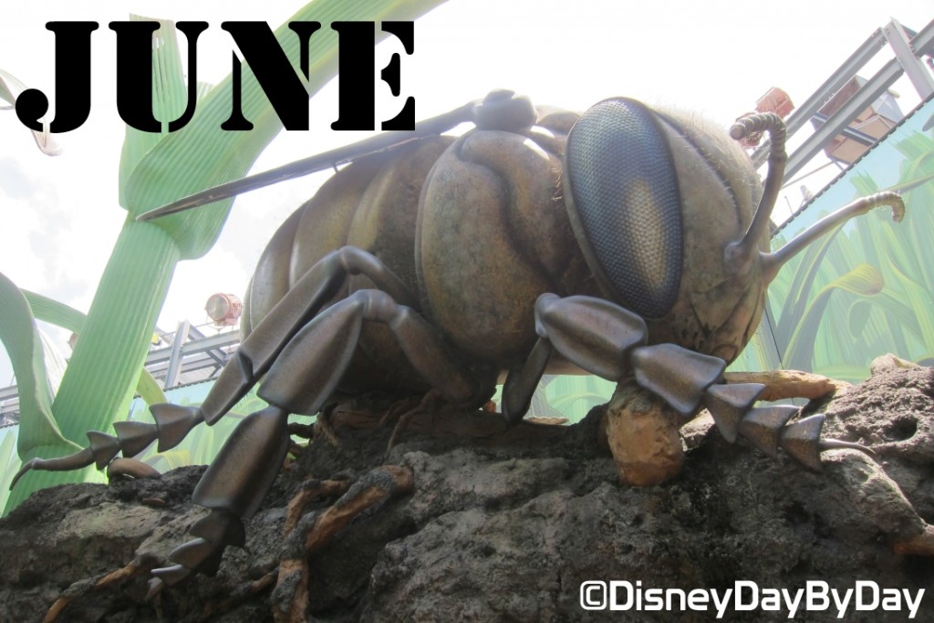 Wordless Wednesday | DisneyDayByDay